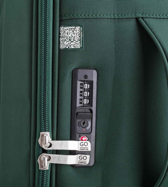 Buy Carpisa Pine Green Semi Rigid Sky GO Large Checked Luggage Online ...