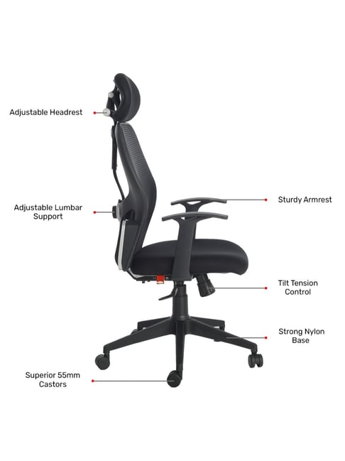 Buy Durian Marvel Black Mesh High Back Executive Chair at Best Price ...