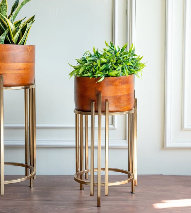 Buy Logam Dark Wood and Gold Massimo Planter Large for Home Online ...