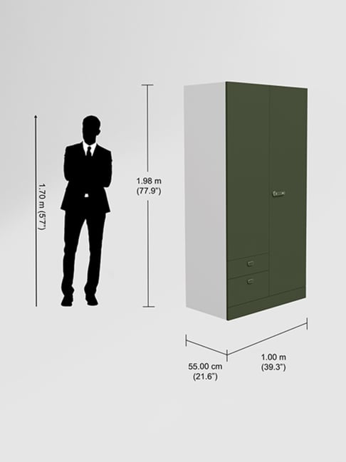 Buy Godrej Interio Auraline Matte Tree Mist CRCA Steel 2 Door Wardrobe at Best Price Tata CLiQ
