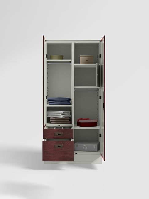 Buy Godrej Interio Slimline Dark Wood CRCA Steel 2 Door Wardrobe at ...
