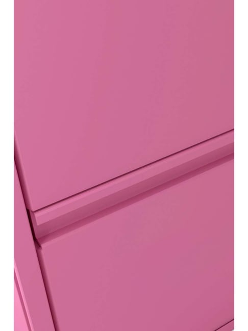 Buy Godrej Interio Step in L Textured Purple Alloy Steel Shoe Cabinet ...