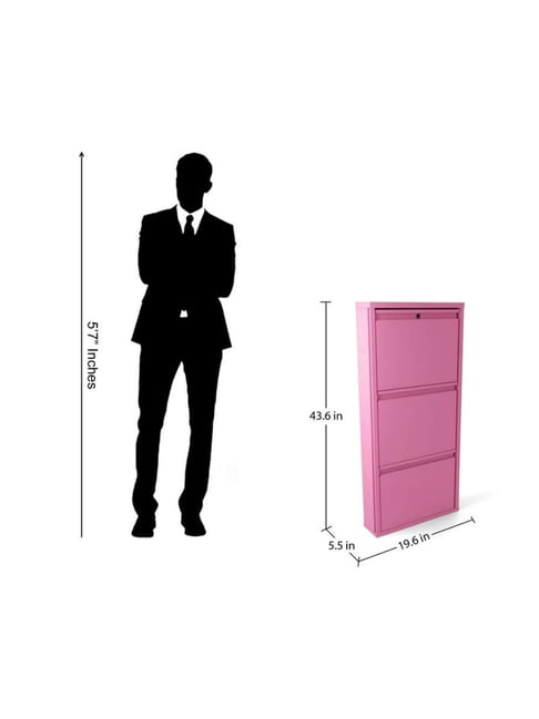 Buy Godrej Interio Step in L Textured Purple Alloy Steel Shoe Cabinet ...