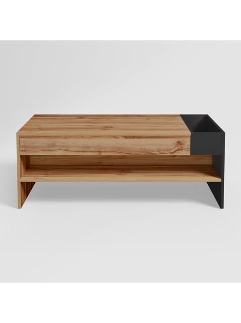 Godrej Interio Arbor Brown Engineered Wood Coffee Table