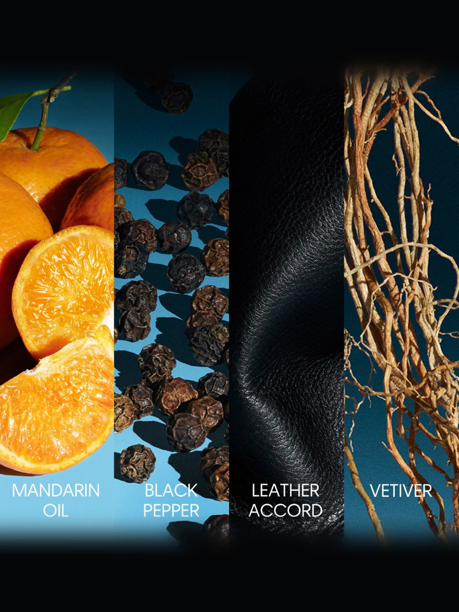 Calvin Klein Defy Eau de Parfum for Men - 100 ml