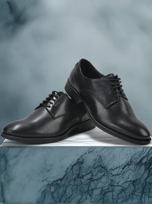 Buy Woodland Men's Black Derby Shoes for Men at Best Price @ Tata CLiQ