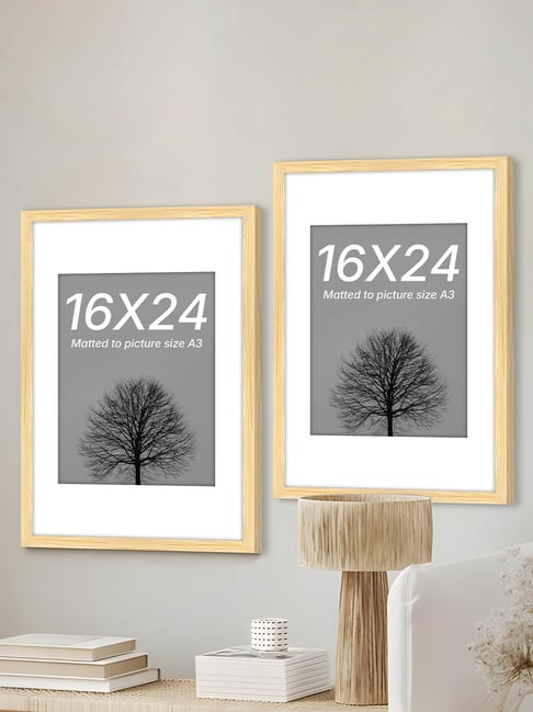 16 Inch By 24 Inch Frame