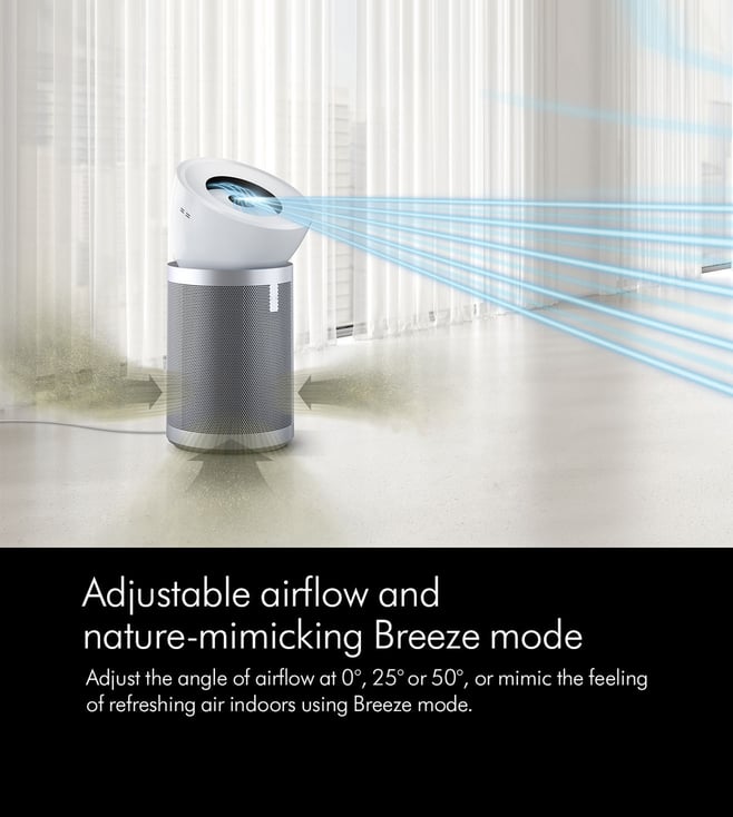 Buy DYSON White & Silver ABS Plastic Big + Quiet BP 02 Air Purifier ...