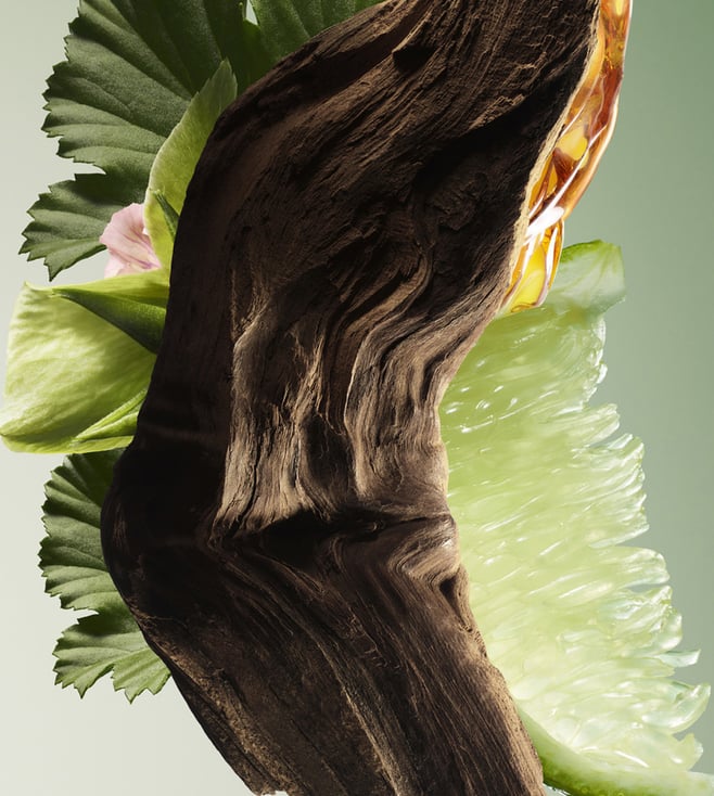 Buy PRADA Paradigme Eau De Parfum - 100 ml for Online @ Tata CLiQ