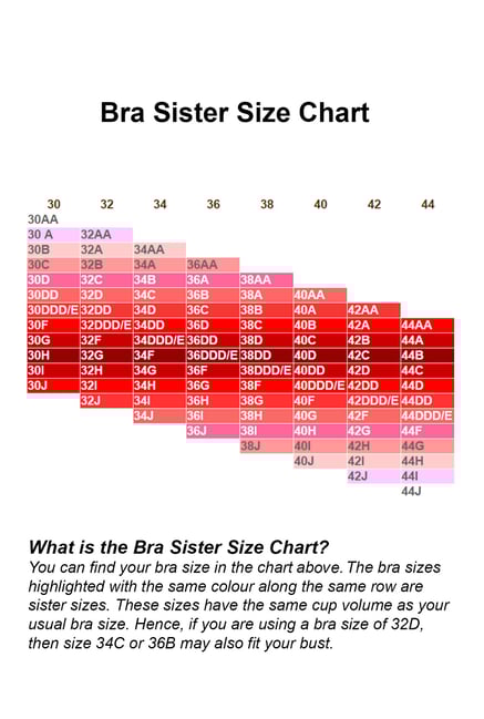 Enamor Beige Non Wired Non Padded Everyday Bra from Enamor at best ...