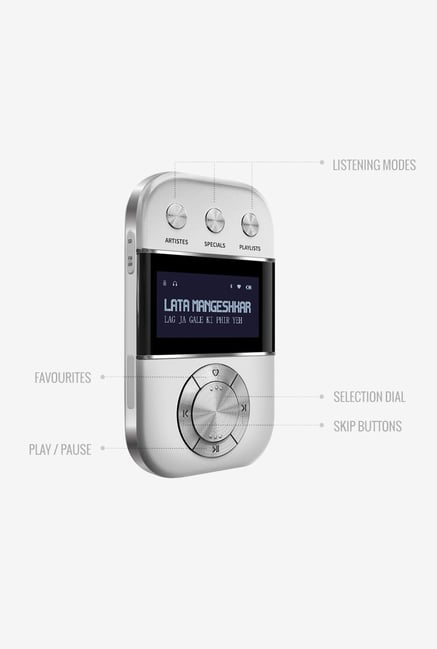 Buy SAREGAMA Carvaan Go SCG110 Digital Audio Player (Quick Silver ...