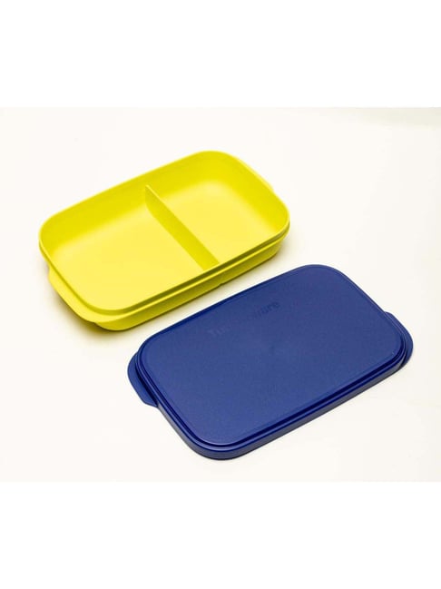 Buy Tupperware Lunch Boxes (590 ml) - Set of 2 at Best Price @ Tata CLiQ