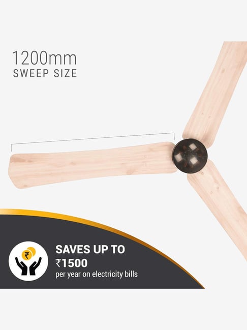 Atomberg Renesa Plus 1200 mm 3 Blades Ceiling Fan with Remote (Natural ...
