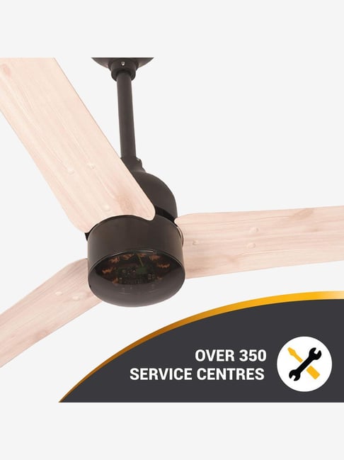 Atomberg Renesa Plus 1200 mm 3 Blades Ceiling Fan with Remote (Natural ...