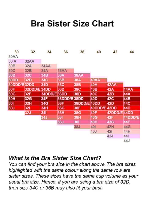 Buy Zivame Dusty Cedar Non Wired Non Padded Full Coverage Bra for Women ...