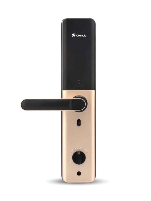 Buy Valencia Hola Smart Door Lock with Fingerprint RFID PIN Online At ...