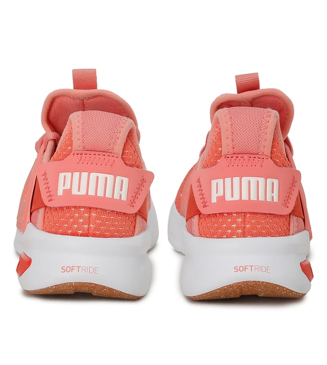 Buy Puma Pink Softride Enzo Evo Better Running Shoes for Women Online ...